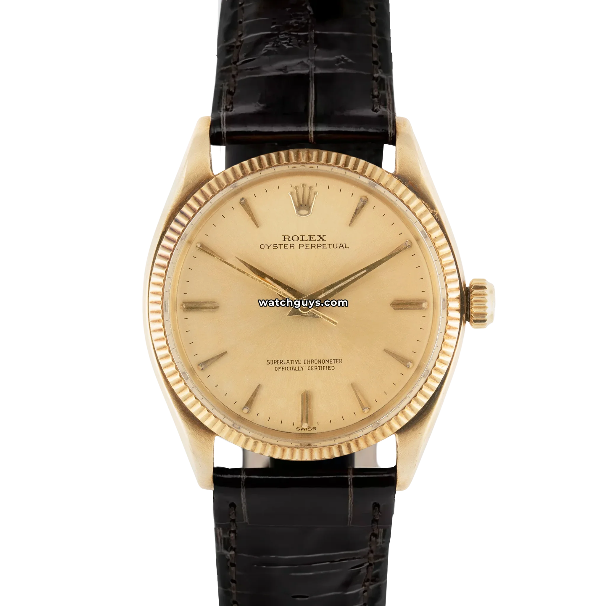 Rolex Oyster Perpetual 1005 Champagne 34mm – WatchGuys